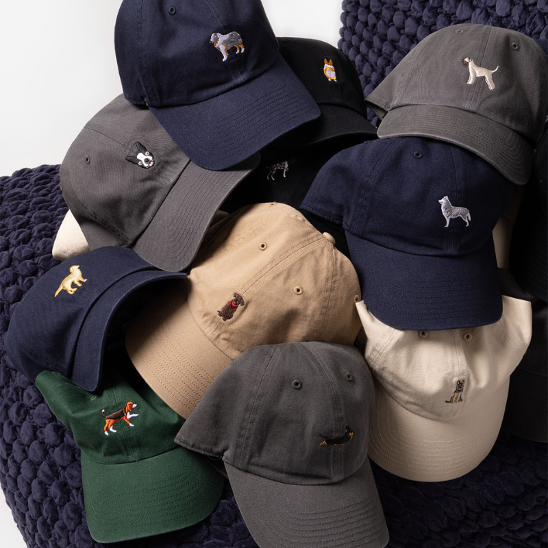 Shop Sport Lifestyle Licensed Hats, Caps and Apparel | '47 Canada – 47 ...